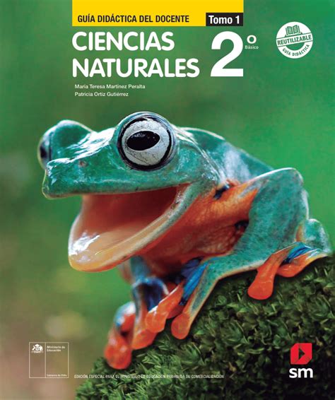 Gu A De Ciencias Naturales Segundo B Sico Con Respuestas