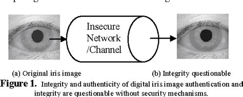 figure 1 from biometric image integrity authentication based on svd and fragile watermarking