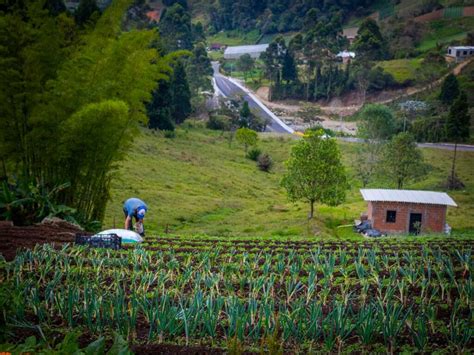 Cómo se relaciona la agricultura con el desarrollo sostenible 5