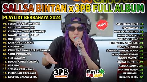 Lagu Reggae Santai Sallsa Bintan X Pemuda Berbahaya Full Album