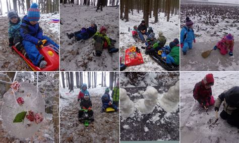 Collage Wald Schnee Montessori Kinderhaus Wertingen