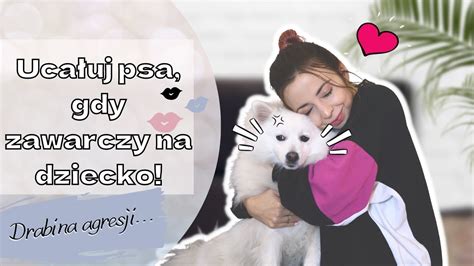 Pies i dziecko w domu Co zrobić gdy pies warczy na dziecko gdy pies