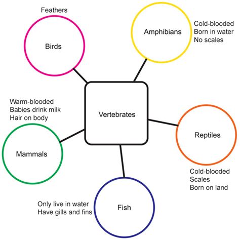 semantic map template