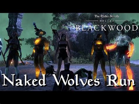 Video Teso Naked Wolves Run Therisches Archiv Funraid The