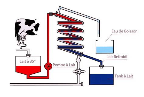 Le Lait Production Livraison