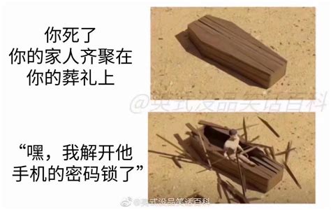 沙雕日常深夜梗图抽象meme表情包合集3 3楼猫