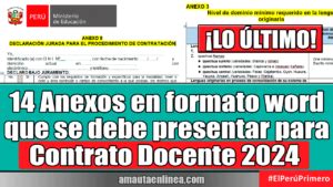 Minedu 14 Anexos En Formato Word Que Se Debe Presentar Para Contrato