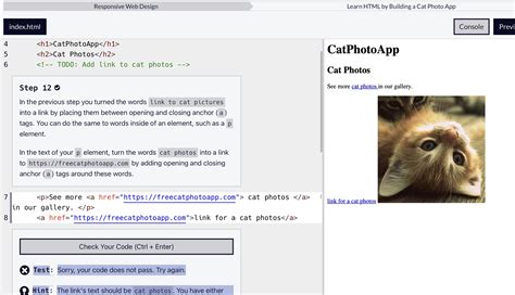 Learn Html By Building A Cat Photo App Step Html Css The