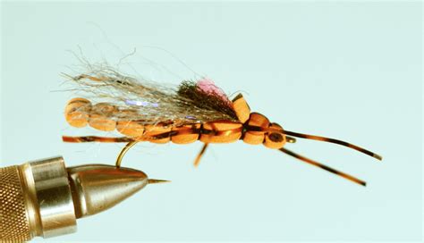 Top 7 Salmon Fly Patterns The Missoulian Angler Fly Shop
