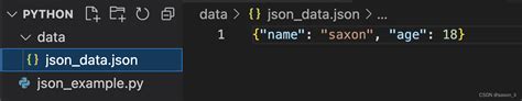 python如何处理json数据，保姆级教程，小白也能玩转 python json文件处理 csdn博客