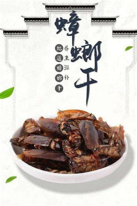 Dried Cockroaches As A Snack Guess The Country Gag