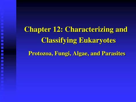 PPT Chapter 12 Characterizing And Classifying Eukaryotes Protozoa