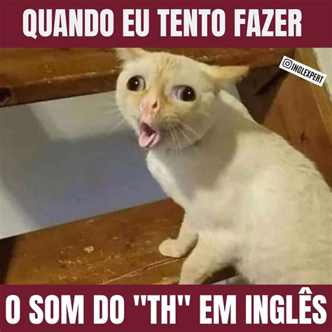 Memes Em Inglês Engraçados LIBRAIN