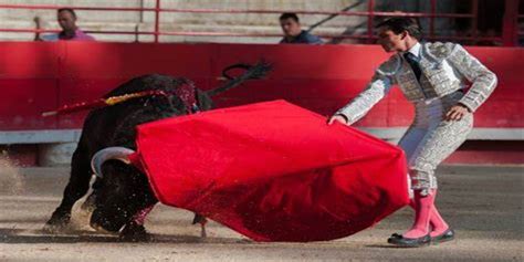 Corrida et bien être animal comment concilier les deux Corrida France