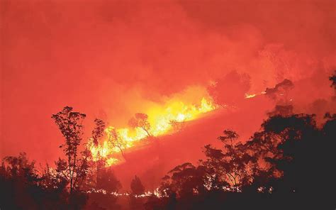 El De Los Incendios Forestales Son Provocados Por Actividades