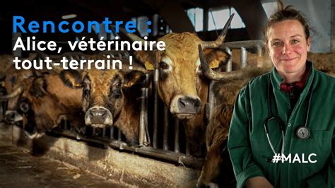 Rencontre Alice vétérinaire tout terrain YouTube