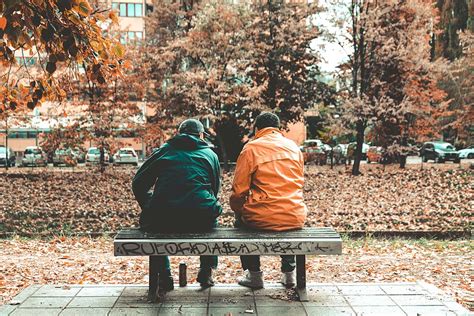 HD Wallpaper Two Men Sitting On Bench Adult Back View Best Friends