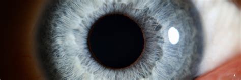 Retinopatia Cukrzycowa Objawy Leczenie