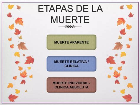 Manifestaciones Fisicas Del Proceso De Morir Tanatologia PPT