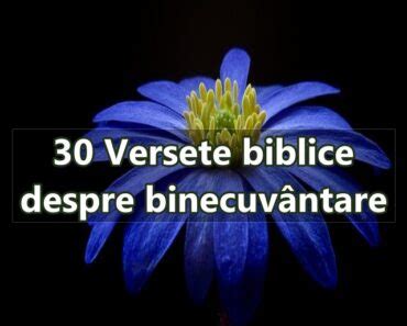 25 de Versete biblice despre căutarea lui Dumnezeu Calea Ingusta