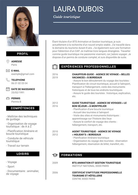 Exemple De Cv Professionnel Modele Cv