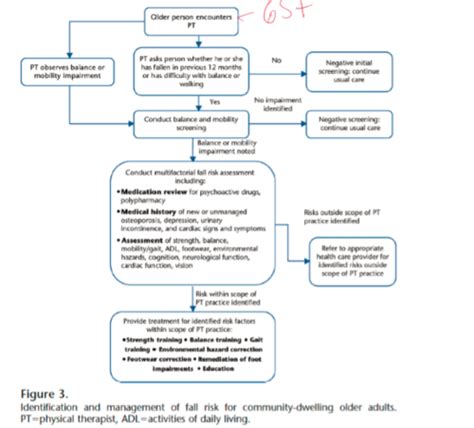 Balance Falls And Functional Assessment In The Older Adult Population