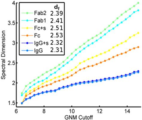 spectral and fractal dimension of igg and its domains the full length download scientific