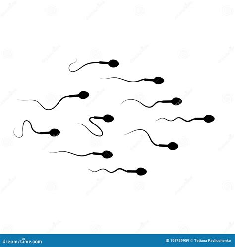 Human Fertilisation Embryonic Development In Human Infographic Cartoon