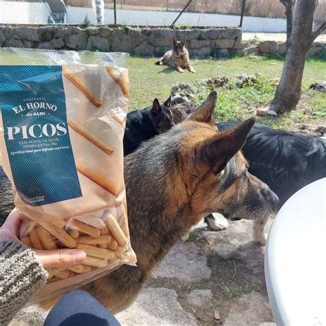 El Horno De Aldi Picos Reviews Abillion