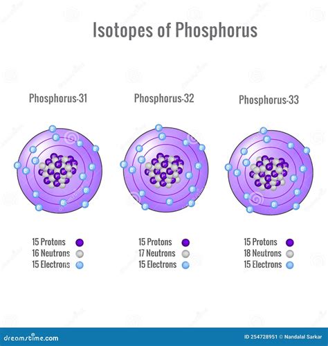 Isotopes Of Phosphorus Atom D Vector Illustration Cartoondealer