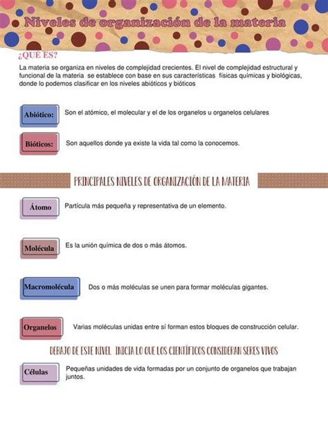 Niveles de organización de la materia Magie Lizbeth De La Cruz