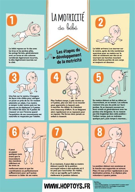 Infographies les différentes étapes de bébé Developpement bebe