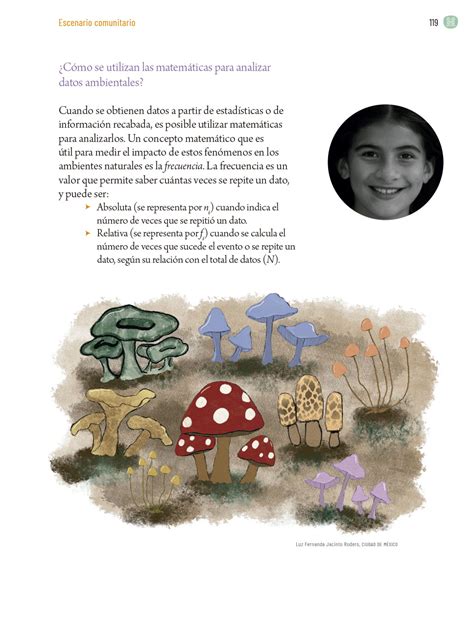 Proyectos Comunitarios Sexto Grado P Gina De Libros De