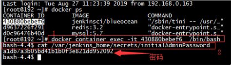 【docker jenkins】一、基于docker部署安装jenkins docker run p 8080 8080 p 50000 5000 name jenki csdn博客