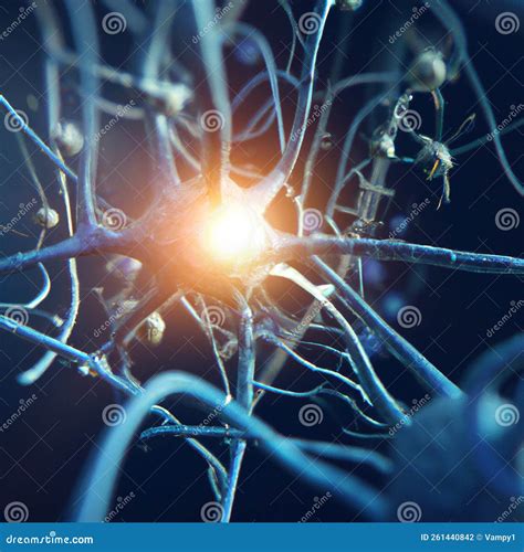 Microscopic View Of Neurons Brain Connections Synapses Stock