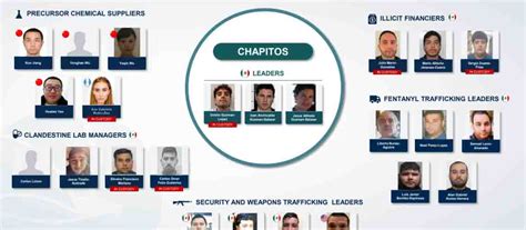 Se Infiltra La Dea En La Facci N De Los Chapitos Y El C Rtel De Sinaloa