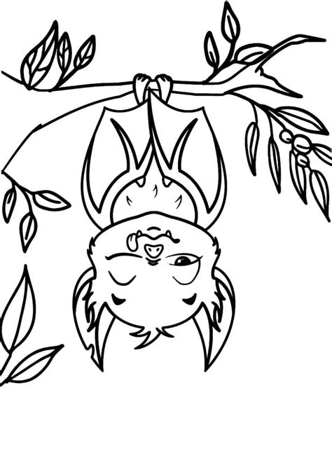 Dibujos De Un Murci Lago Muy Lindo Para Colorear Para Colorear Pintar