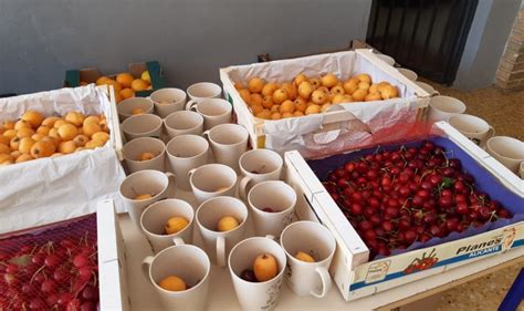 Los Alumnos Del CEIP Miguel Bordonau Aprenden A Comer Sano Ajuntament
