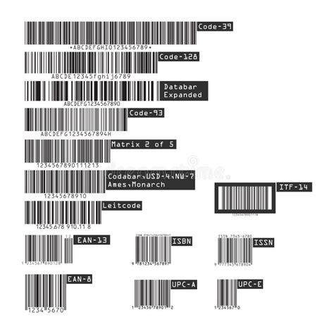 Business Barcodes And QR Codes Isolated On White Background Vector