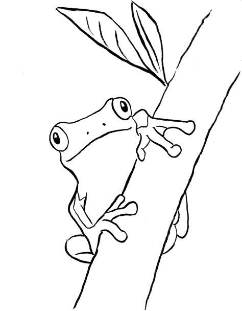 Printable Frog Coloring Pages