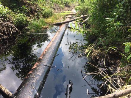 Loreto confirman nuevo derrame de petróleo en la Amazonía peruana