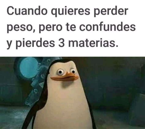 Jan Memes español graciosos Memes de estudiantes Memes de dibujos