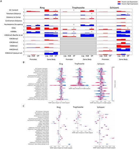 feature importance measures a feature importance scores assigned for download scientific