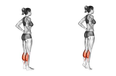 Best Bodyweight Exercises For Calves With Pictures Inspire Us