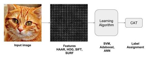 learn about various object detection techniques