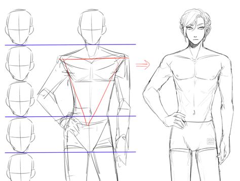 Discover 70 Anime Male Body Drawing In Cdgdbentre