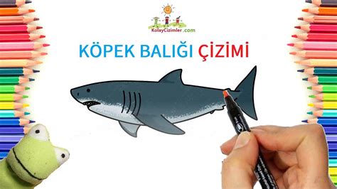 Kopek Baligi Cizimi Kolay Hayvan Cizimleri Kolay Cizimler Basit Sevimli