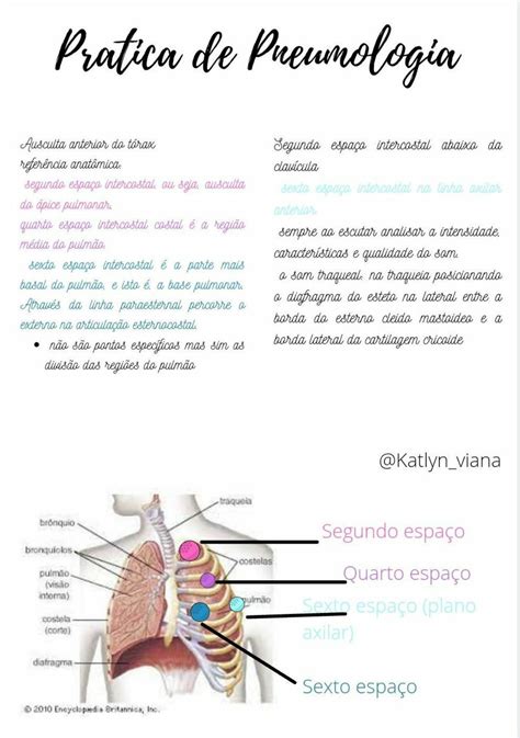 Resumo De Pneumologia Ausculta Pulmonar Fisioterapia