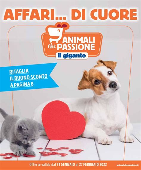 Il Gigante Volantino Attuale 31 01 27 02 2022