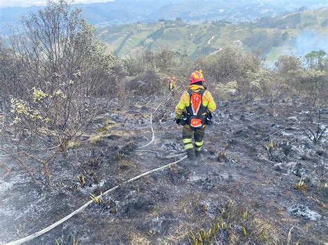 Las secuelas que dejan los incendios forestales en áreas naturales de